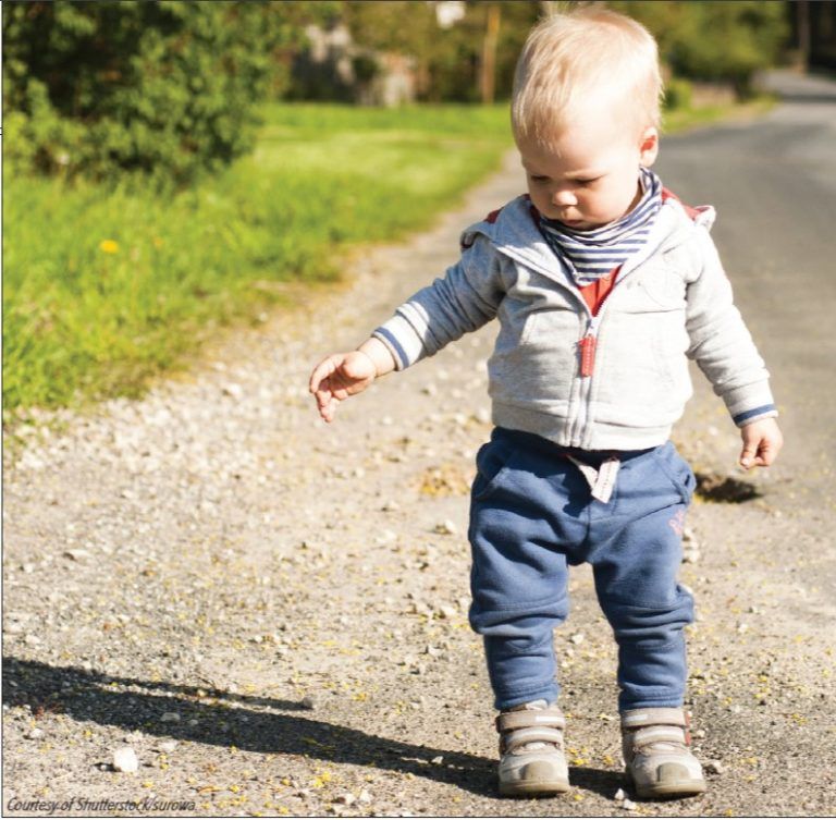 Development of the Lower Limb in Children - Hersco Edu Center